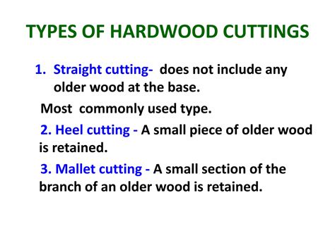 Horticultural Practices Cutting Layering Grafting And Budding Smg Pptx