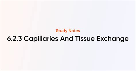 Resources Platform Tutorchase