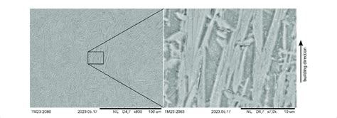 Microstructure Sem And Bse Detector Of Lpbf Processed Cp Titanium