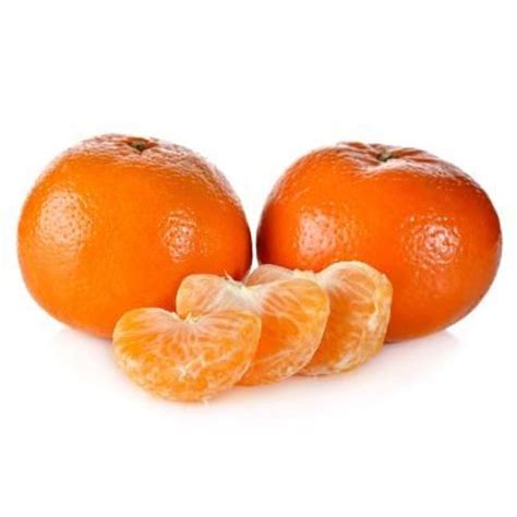 Buy Mandarin Trees Nz Dwarf And Easy Peel Varieties Flying Dragon