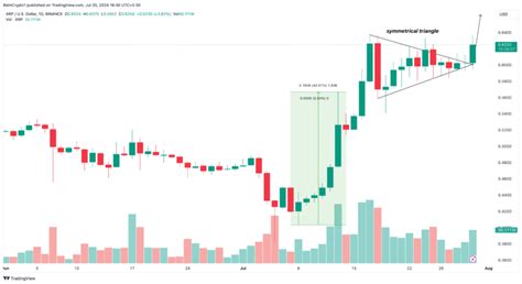8월에 대규모 토큰 언락 있는데리플xrp의 ‘이상한 상승 Beincrypto Korea