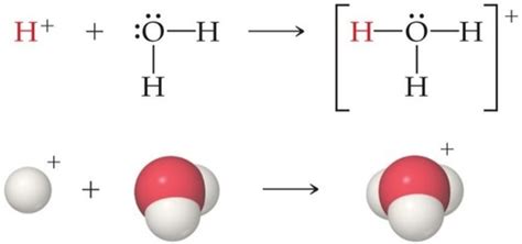 ACIDS BASES Flashcards Quizlet