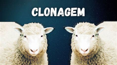 Como Clonar Objetos — Prototype Pattern In C By Rodolfo Richter Medium