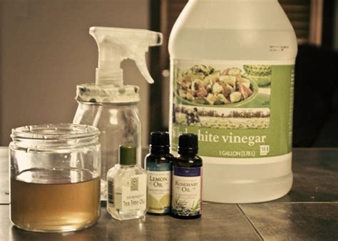 Homemade All Purpose Cleaning Spray With Infused Vinegar Crunchy Betty