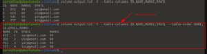 How To Use Column Command In Linux With Examples