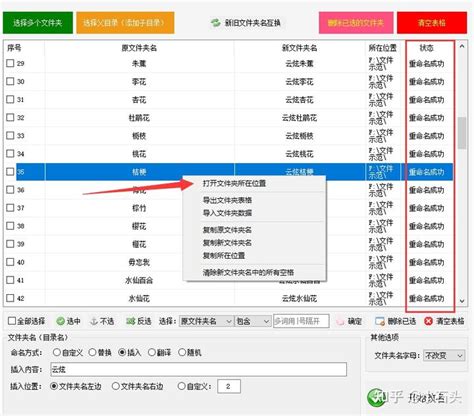 文件夹管理快速上手掌握在文件夹名称左边插入关键字的方法解析 知乎