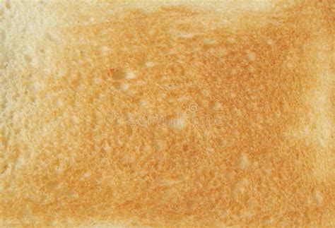 Toasted Bread Texture Stock Image Image Of Morning Background 5317977