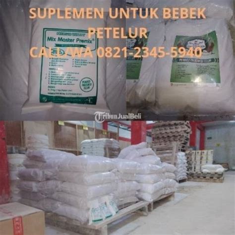 Suplemen Tambahan Untuk Bebek Petelur Di Padang Panjang Tribun Jualbeli