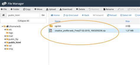 How To Make A Website Live With CPanel Hosting W Layouts