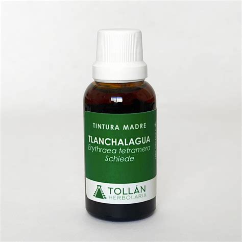 Tlanchalagua Y Cocolmeca Para Bajar De Peso Tollán Herbolaria