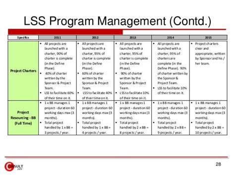Lss 5 Year Strategy