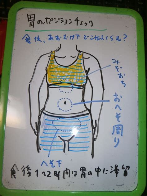 ひそかに胃下垂進行中！？胃のポジションチェック 整体 ツボゲッチューりらく屋（朝霞 Health