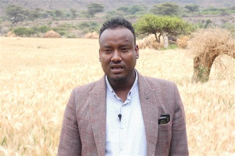 Haramaya University Conducts Field Day On Irrigated Wheat Seeds