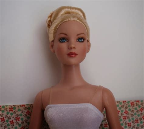 My Little Doll Corner Cinderella Dreams Come True By Tonner