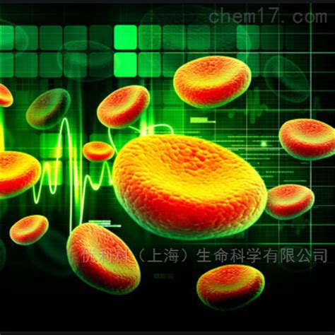 Granta 519人套细胞淋巴瘤细胞复苏 冻存 优利科（上海）生命科学有限公司