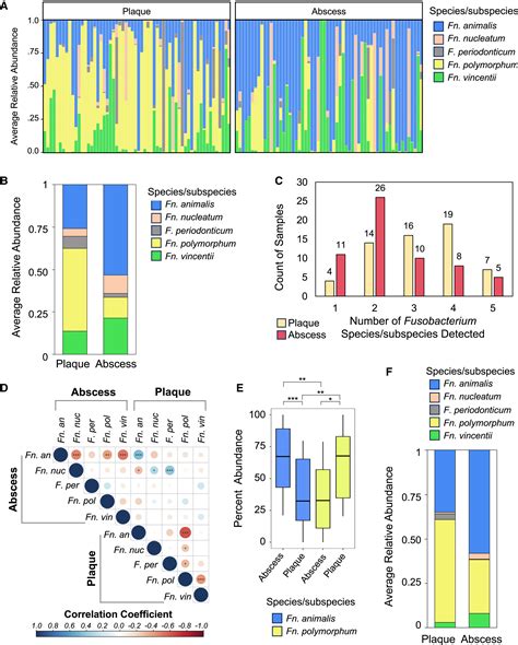 Stratification Of Fusobacterium Nucleatum By Local Health Status In The Oral Cavity Defines Its