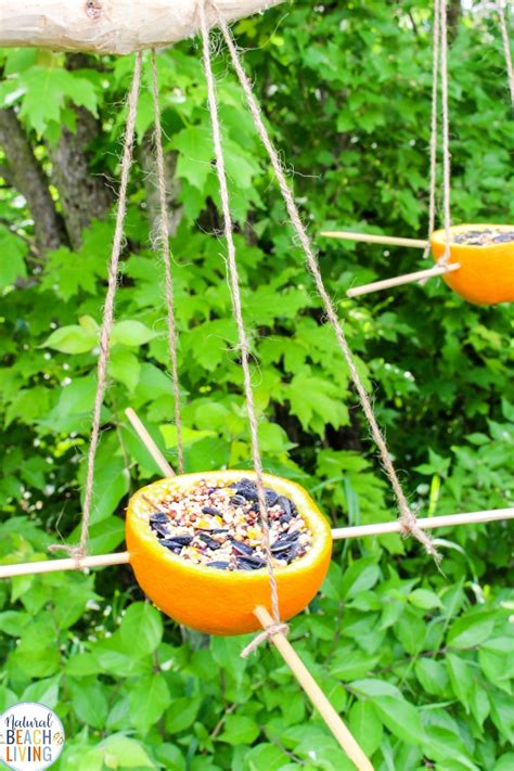 Orange Bird Feeder Easy Homemade Bird Feeders Natural Beach Living