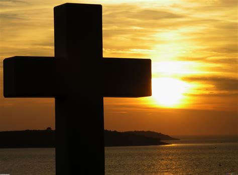 Leaves Of Grace The Naked Cross