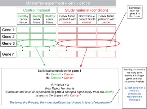 Figure 1 From Identiﬁcation Of Potential Biomarkers From Microarray Experiments Using Multiple
