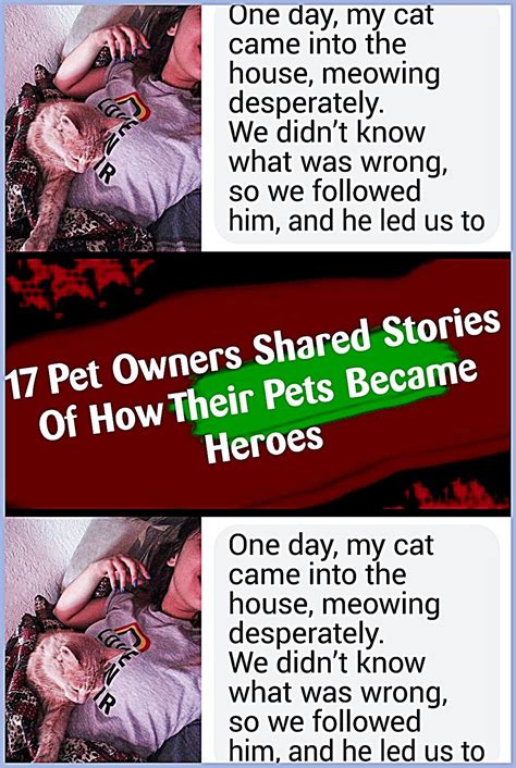 Pet Owners Shared Stories Of How Their Pets Became Heroes Artofit