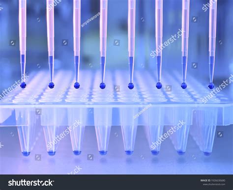 Rnaseq Images Stock Photos Vectors Shutterstock