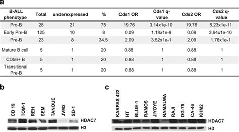 Hdac7 Is Underexpressed In Pro B Acute Lymphoblastic Leukemia All And