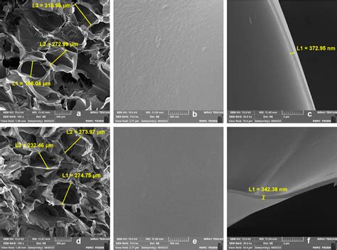 Chitosan Schiff Base Hydrogel Sunscreen A Multifunctional Hybrid Network With Antioxidant