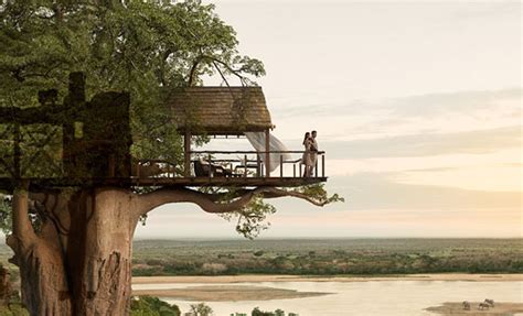 ИЗБУШКИ НА КУРЬИХ НОЖКАХ Обсуждение на Liveinternet Российский Сервис Онлайн Дневников