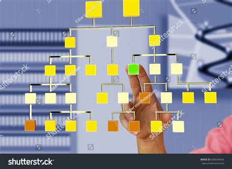 Hirarchy Photos And Images Shutterstock