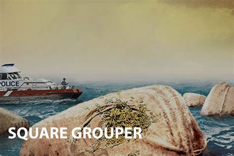 Square Grouper A Dive Into Miamis 1970s Pot Smuggling