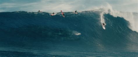 Mosasaurus Wallpapers Top Free Mosasaurus Backgrounds Wallpaperaccess