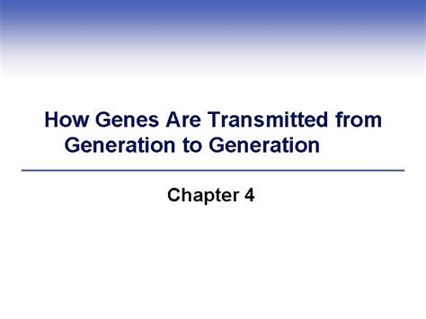 How Genes Are Transmitted From Generation To Generation