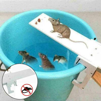 Humane Plank The Walk Catch Auto Trap Rat Catch Trap Mouse New Bucket Mice Reset | eBay
