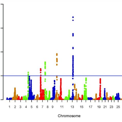 Manhattan Plot Showing Association Between Genomic Sliding Windows Of Download Scientific