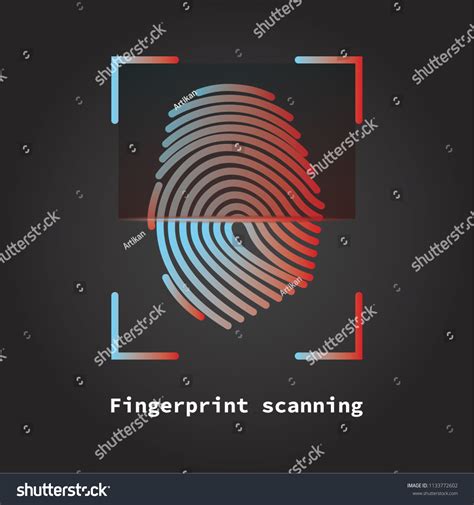 Fingerprint Scanning Identification System Biometric Authorization Stock Vector Royalty Free