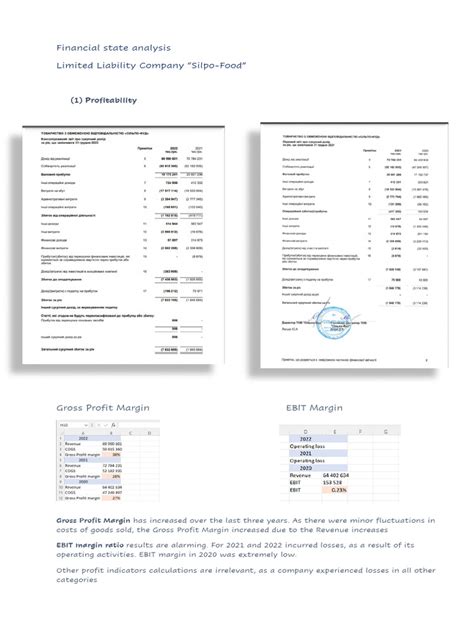 Financial Statements Analysis Pdf Gross Margin Leverage Finance