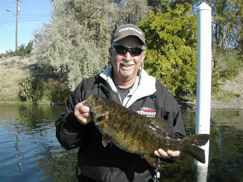 How To Catch Fall Smallmouth Bass 101