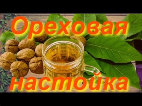 Ореховая настойка в домашних условиях | Nut tincture at home - YouTube