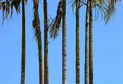 Practice Questions With Answers From The Mensuration Pinnotes