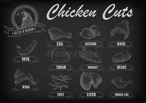 Chicken Meat Carcass Cut Parts Chops Info Graphics Scheme Sign P Stock