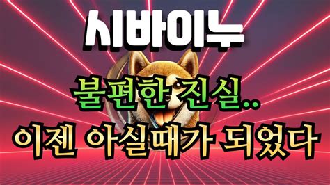 시바이누 코인 불편한 진실 이젠 아실때가 되었습니다 Youtube