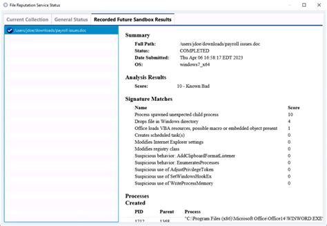 Sandboxing Malicious Files Recorded Future Triage Integration Cyber