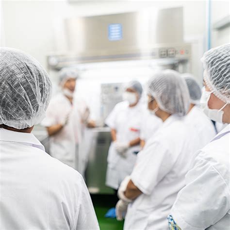 Colour Coding In Food Factories 5 Details You May Have Missed Klipspringer