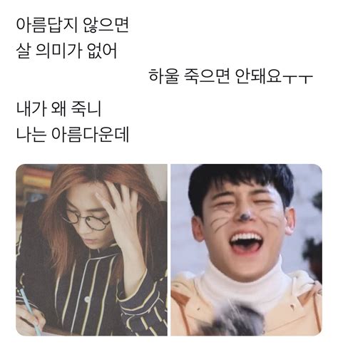 이슈유머 아름답지 않으면 살 의미가 없어