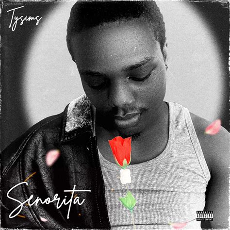 Stream Senorita By Tysims Listen Online For Free On Soundcloud