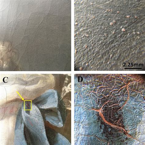 A Photograph Taken With Raking Light Illumination In Area Above Madame