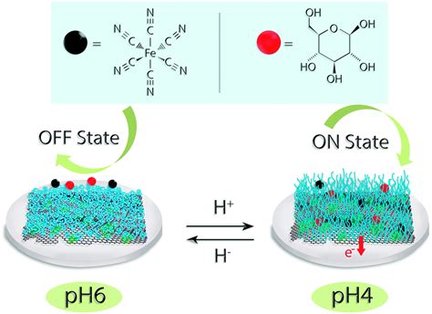 Ph Induced On Off Switchable Graphene Bioelectronics Journal Of Materials Chemistry B Rsc