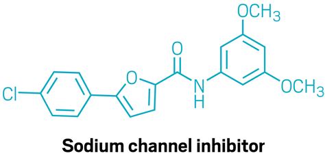 Enzyme Chemical Structure
