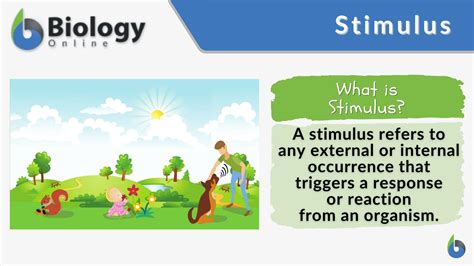 Response To Stimuli Examples