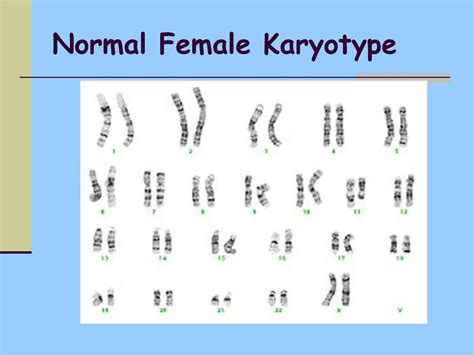 Cell Division Mitosis And Meiosis Ppt Download